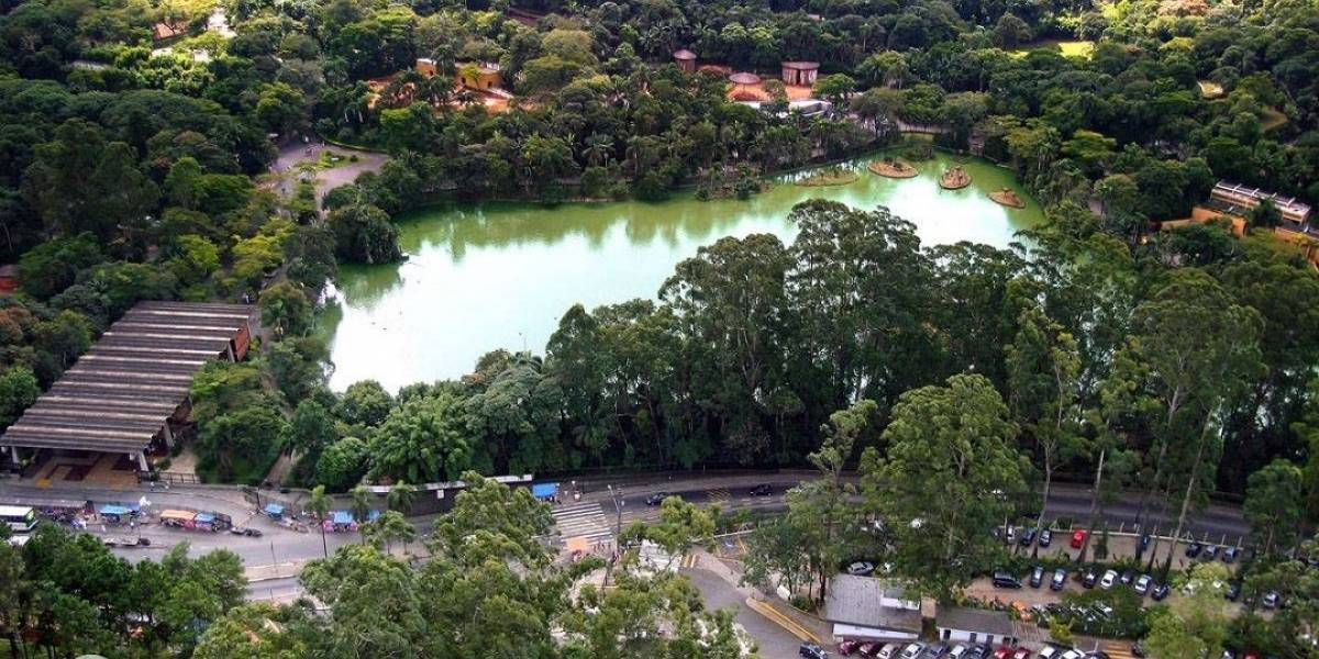 Digital Plataform for Partnerships | Governo do Estado de São Paulo